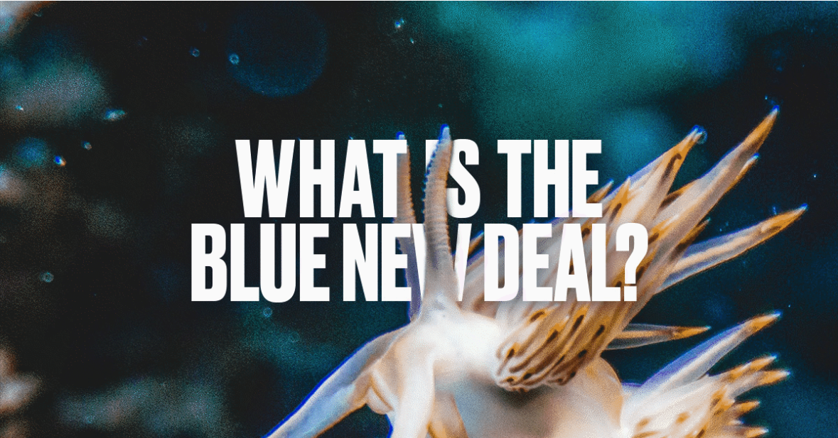 The Global Blue New Deal The Global Blue New Deal